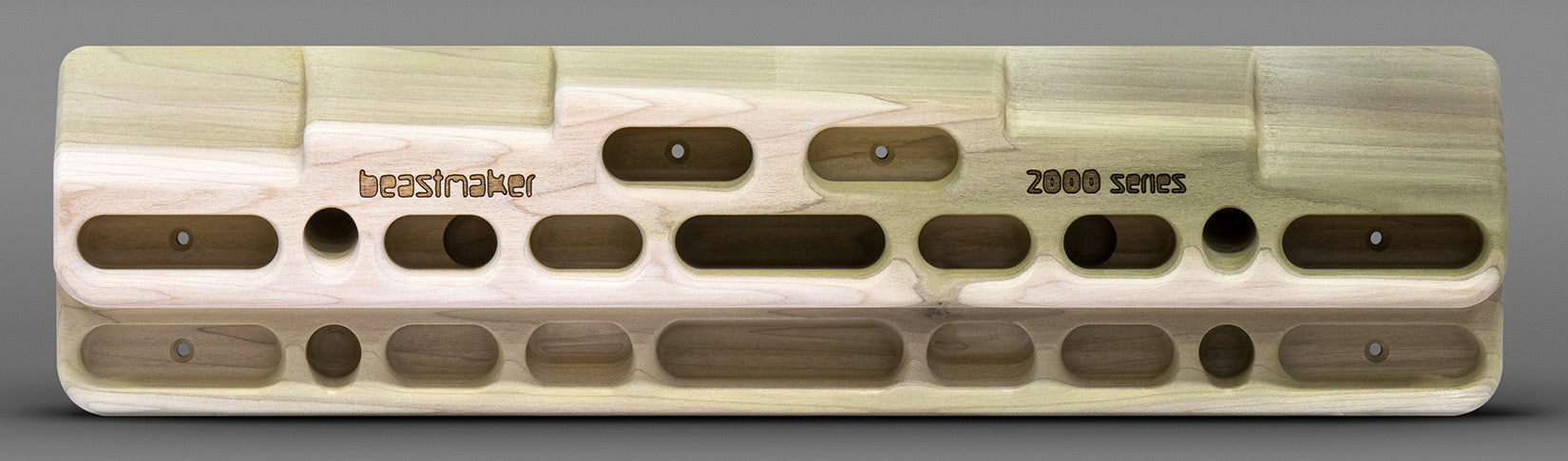 Beastmaker 2000 Series – beastmaker