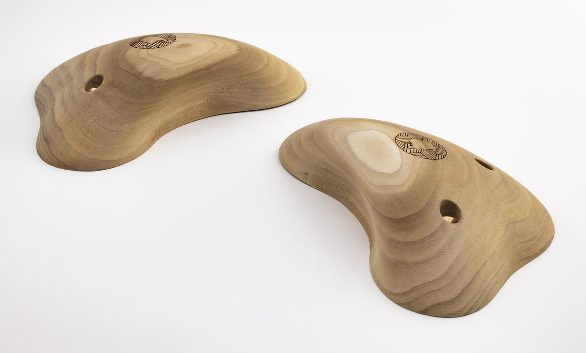 Sledge holds (pair) – beastmaker